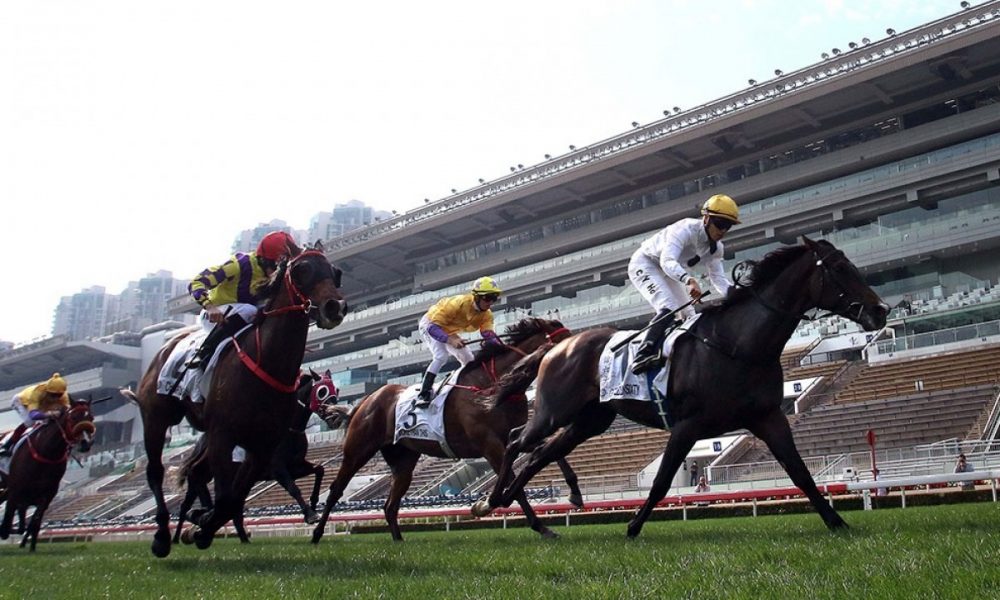 Sha Tin Racing Tips: Sunday, October 18th - RacingBet