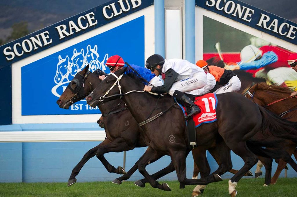 Scone Racing Tips: Friday, May 13th - RacingBet
