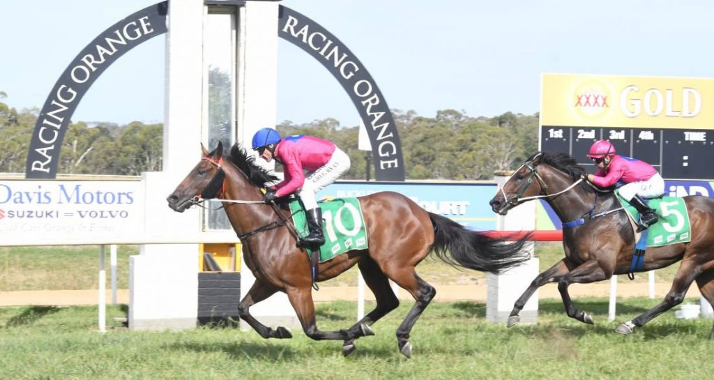 Orange Racing Tips: Monday, December 14th - RacingBet