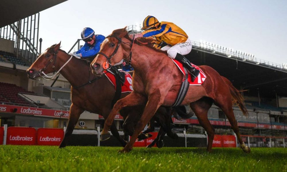 Moonee Valley Tips, Cox Plate and Track Information