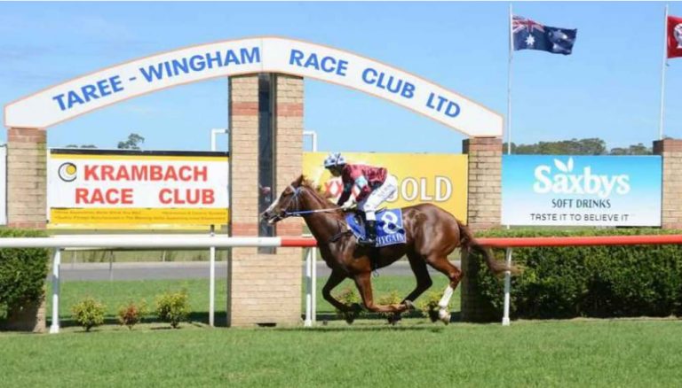 Taree Racing Tips: Monday, January 11th - RacingBet