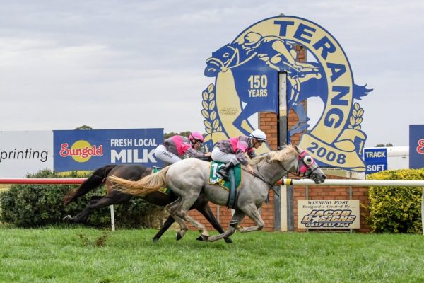 Terang Racing Tips: Friday, November 20th - RacingBet