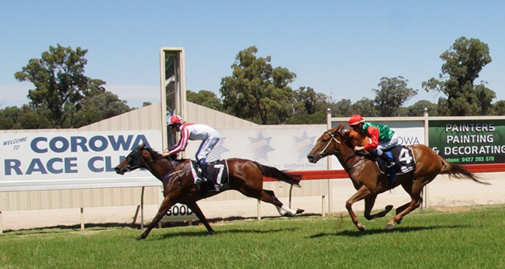 Corowa Racing Tips: Monday, November 2nd - RacingBet