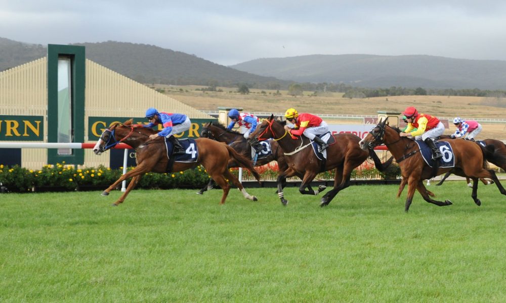 Racing Tips for Today's Racing from Australia and Hong Kong | RacingBet