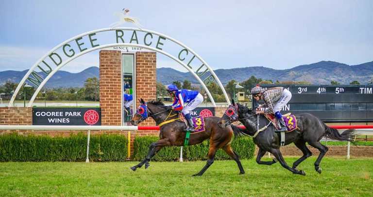 Mudgee Racing Tips: Friday, December 4th - RacingBet