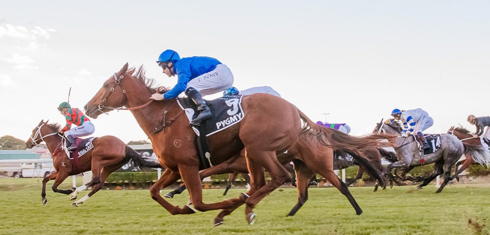 Doomben Racing Tips: Thursday, January 7th - RacingBet