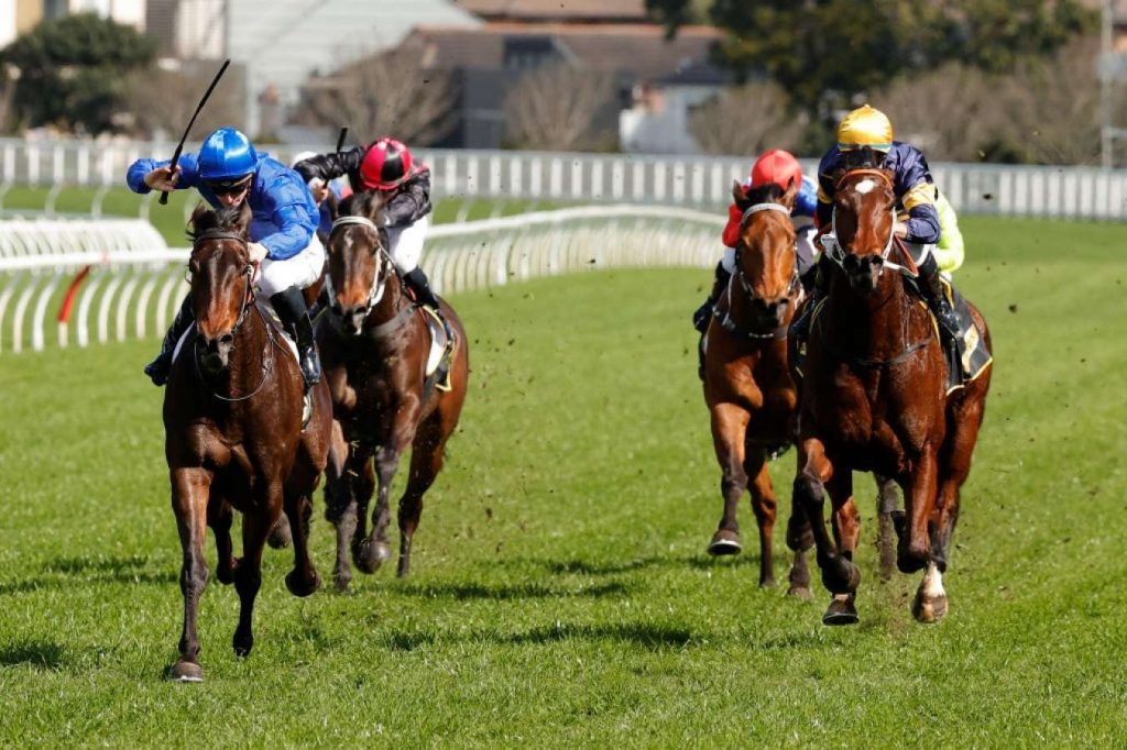 Rosehill Racing Tips: Saturday, October 30th - RacingBet