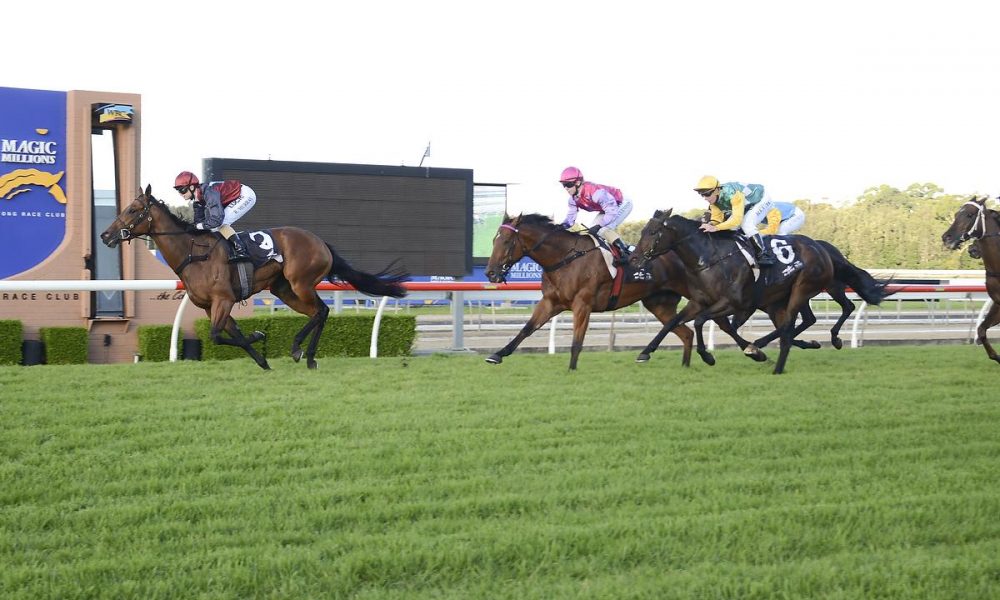 Wyong Racing Tips: Wednesday, December 15th - RacingBet