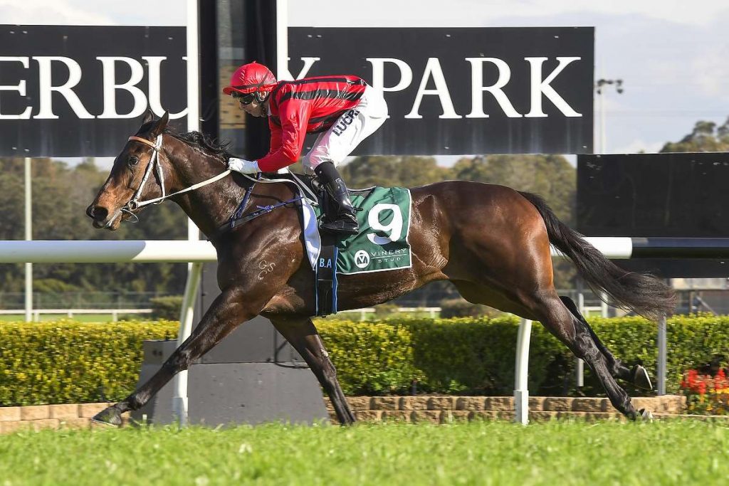 Canterbury Racing Tips: Wednesday, April 20th - RacingBet