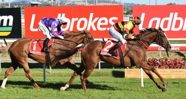 Launceston Racing Tips: Wednesday, February 23rd - RacingBet