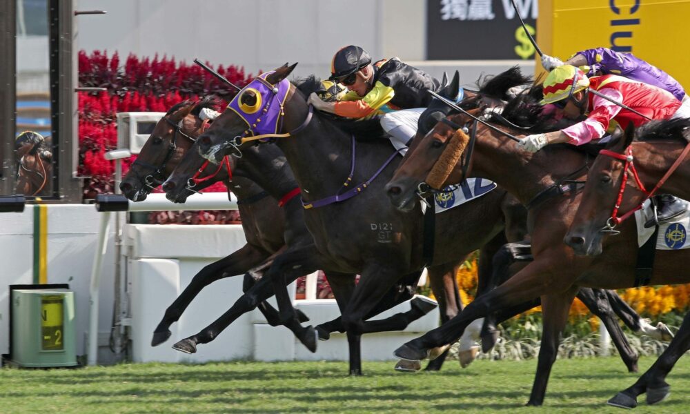 Sky Racing Tips - Access Sky Racing Channels - RacingBet