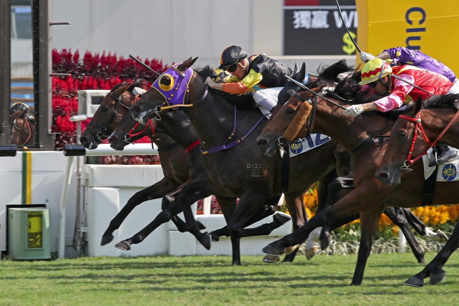 Hong Kong racing: understanding the class system - RacingBet